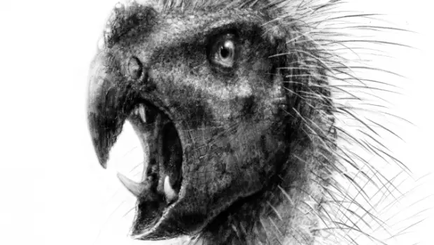 Vampire Dinosaur Archives | Blizzard Watch