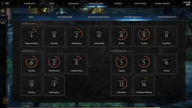 What you need to know about playing Amazon’s New World MMORPG as a ...