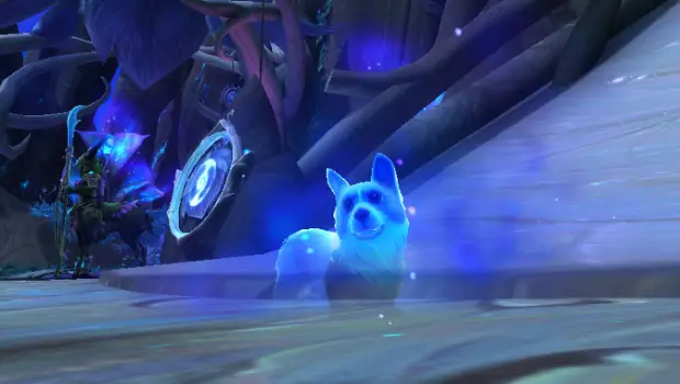 How to get all the new Soulshapes and Crittershapes in Shadowlands ...