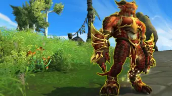 Why we think it's time for a wider range of shapes and sizes in our ...