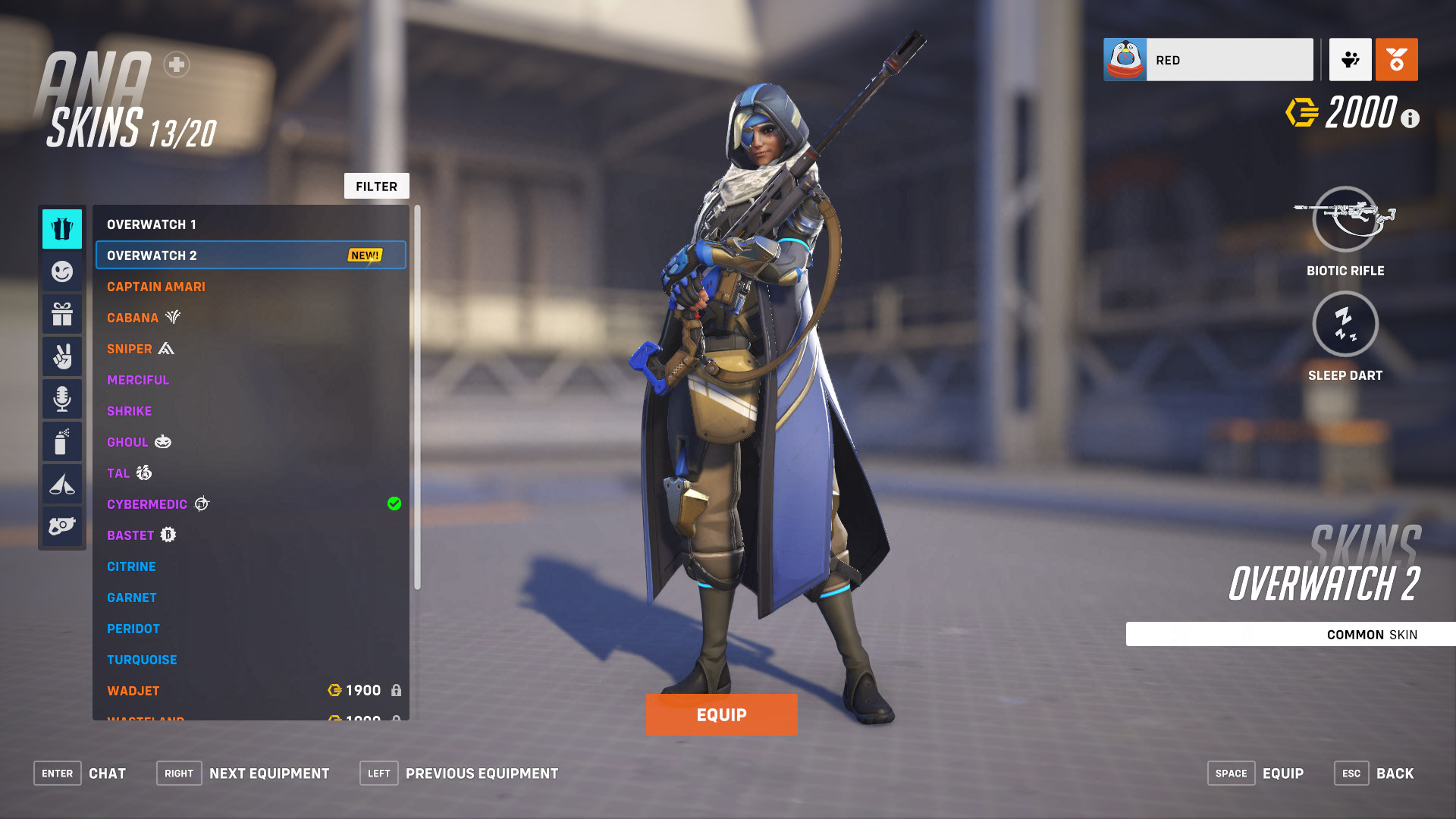 All the new skins in Overwatch 2