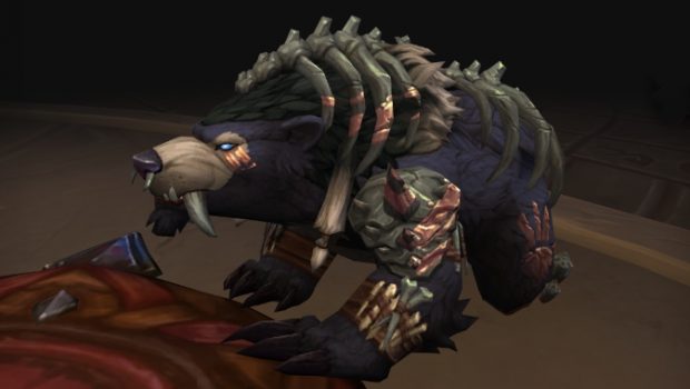 The ultimate guide to collecting new Druid shapeshift forms in WoW