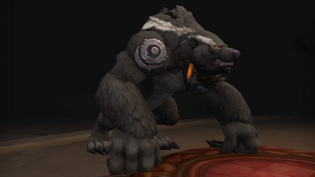 The ultimate guide to collecting new Druid shapeshift forms in WoW
